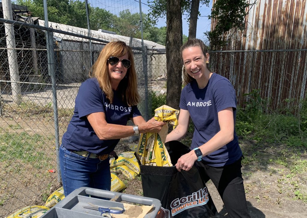 Culture & Careers – Ambrose